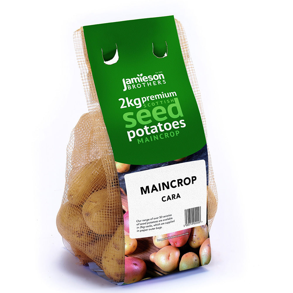 Jamieson Brothers Cara Seed Potatoes 2kg – DeWaldens Garden Centre