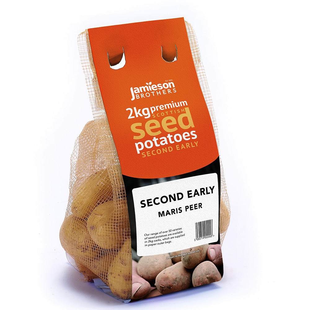 Jamieson Brothers Maris Peer Seed Potatoes 2kg – DeWaldens Garden Centre
