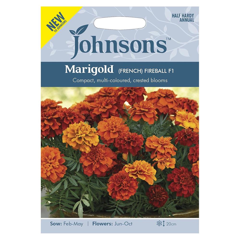 Johnsons Marigold (French) Fireball F1 Seeds – DeWaldens Garden Centre