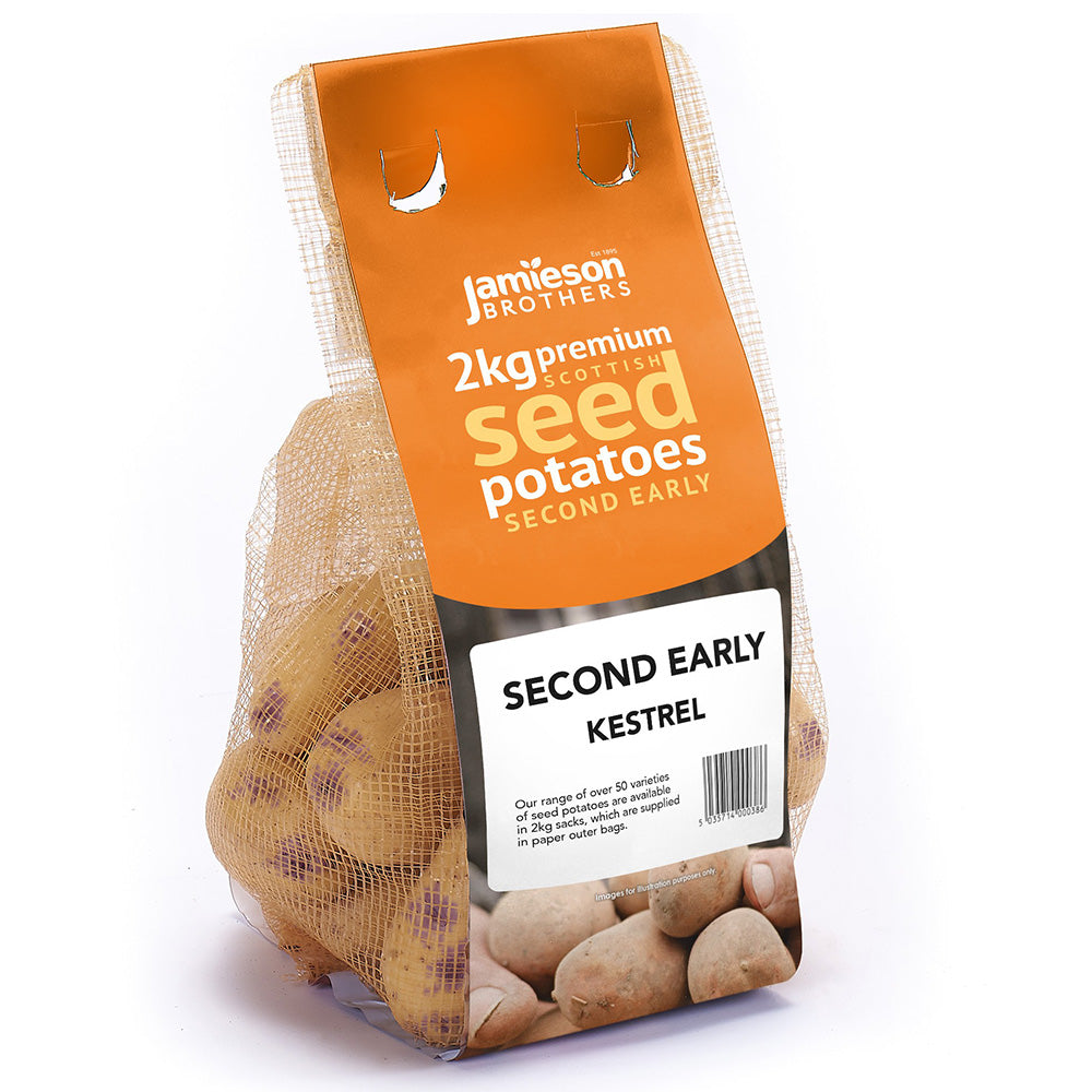 Jamieson Brothers Kestrel Seed Potatoes 2kg – DeWaldens Garden Centre
