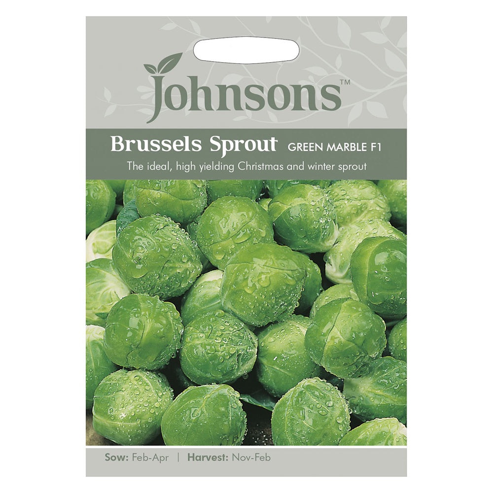 Johnsons Brussels Sprout Green Marble F1 Seeds – DeWaldens Garden Centre