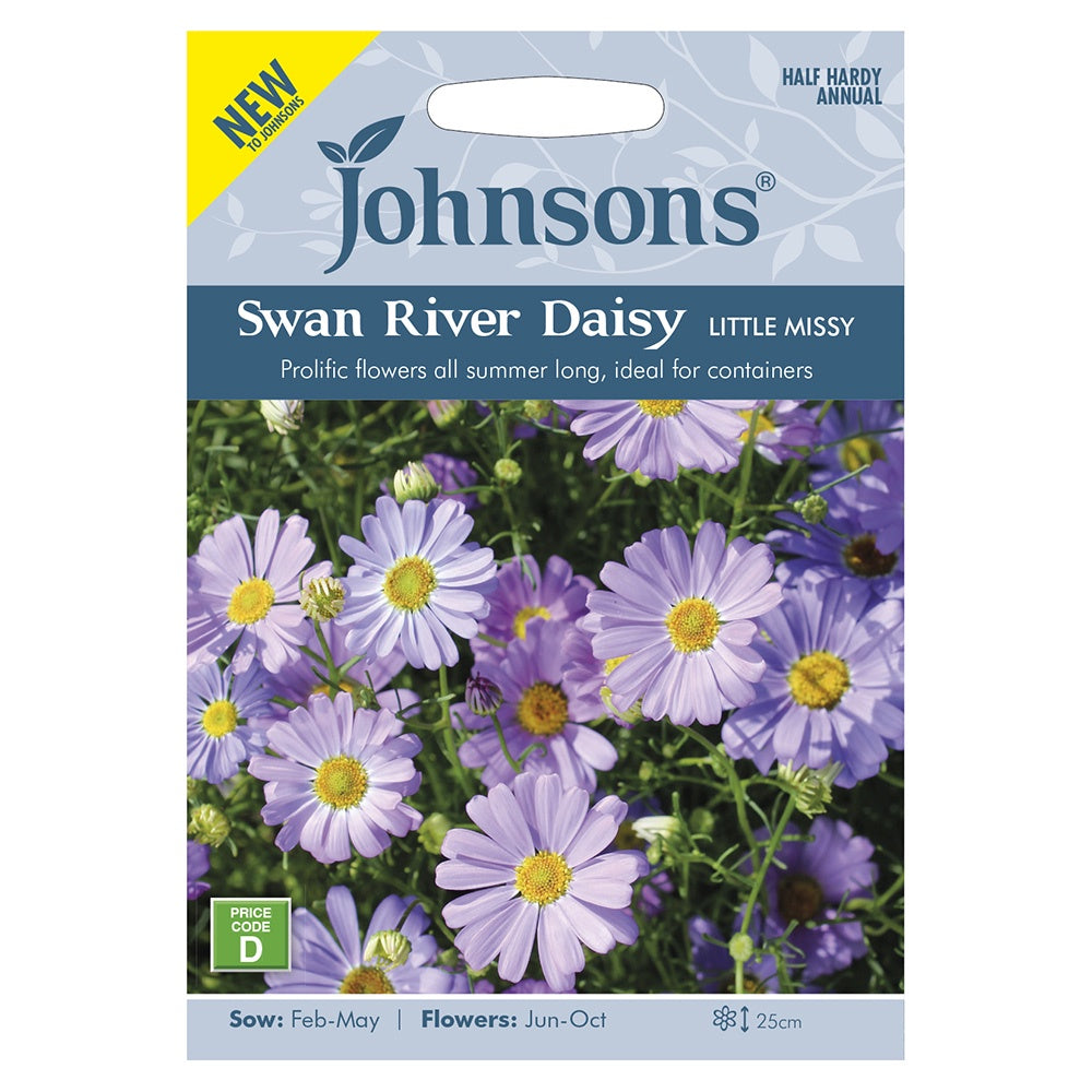 Johnsons Swan River Daisy Little Missy Seeds – DeWaldens Garden Centre