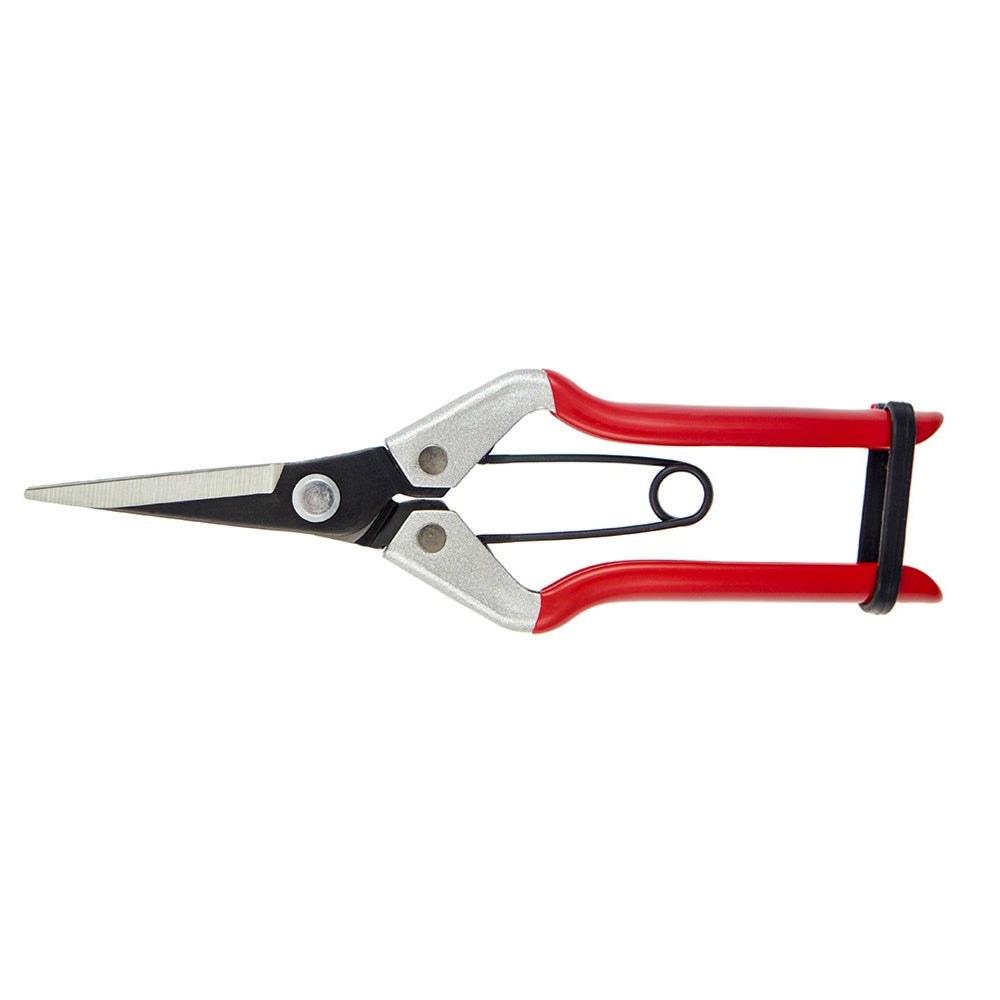 Darlac Vine Scissors – DeWaldens Garden Centre