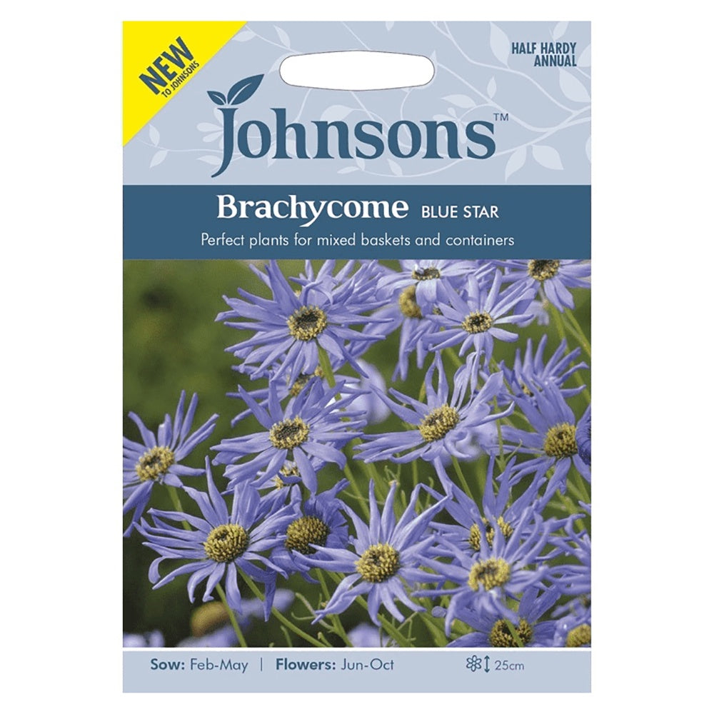 Johnsons Brachycome Blue Star Seeds – DeWaldens Garden Centre