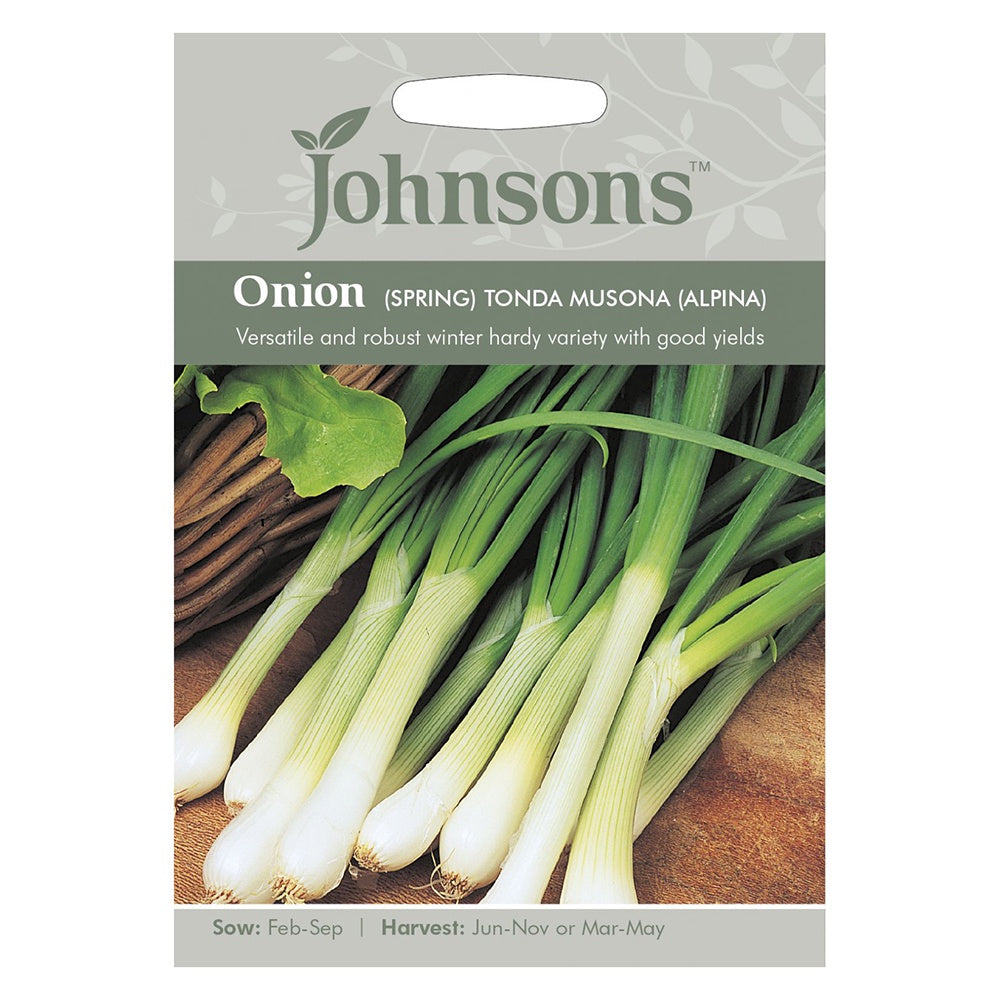 Johnsons Onion (Spring) Tonda Musona (Alpina) Seeds – DeWaldens Garden ...