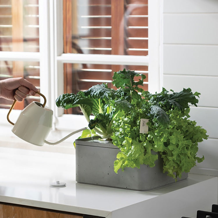 Keter Large Farm Box – DeWaldens Garden Centre