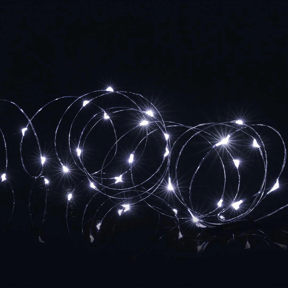 Premier Micro Brights Battery Operated 100 LED Lights – DeWaldens ...